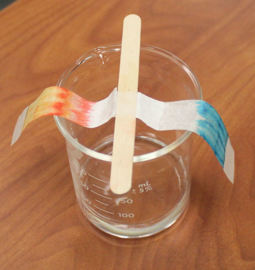 Exploring Pigments with Paper Chromatography