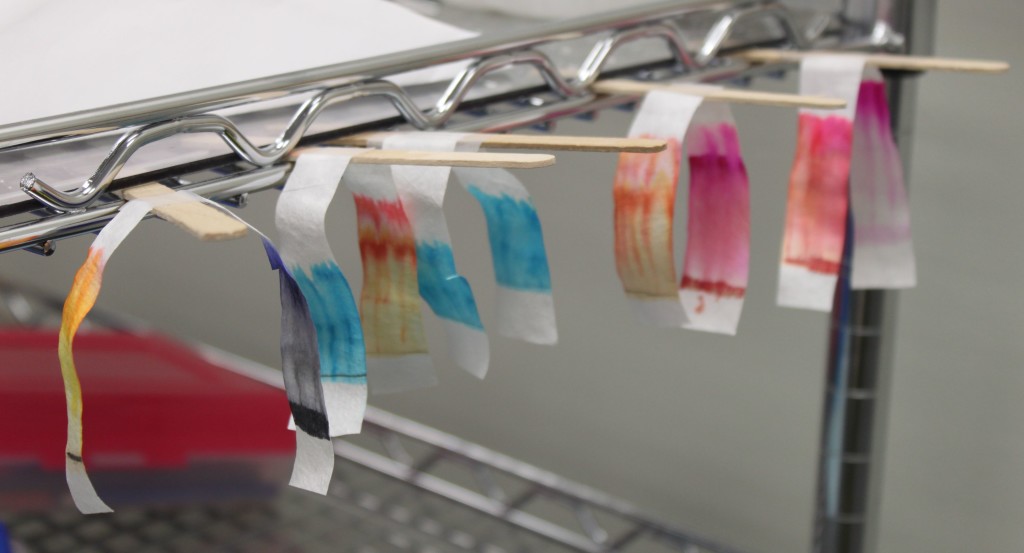 Exploring Pigments with Paper Chromatography